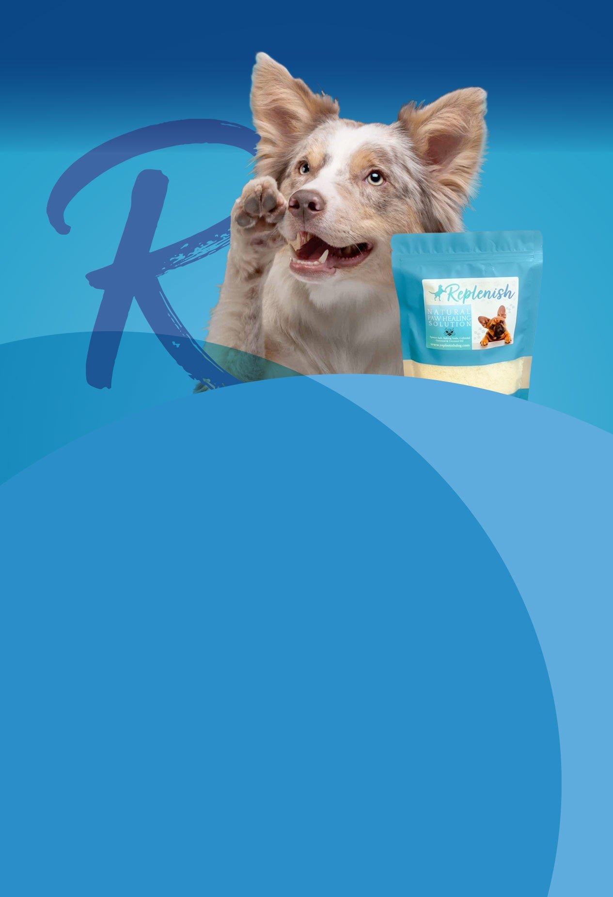Replenish Dog | Canine Supplement, Active & Hunting Dog Recovery