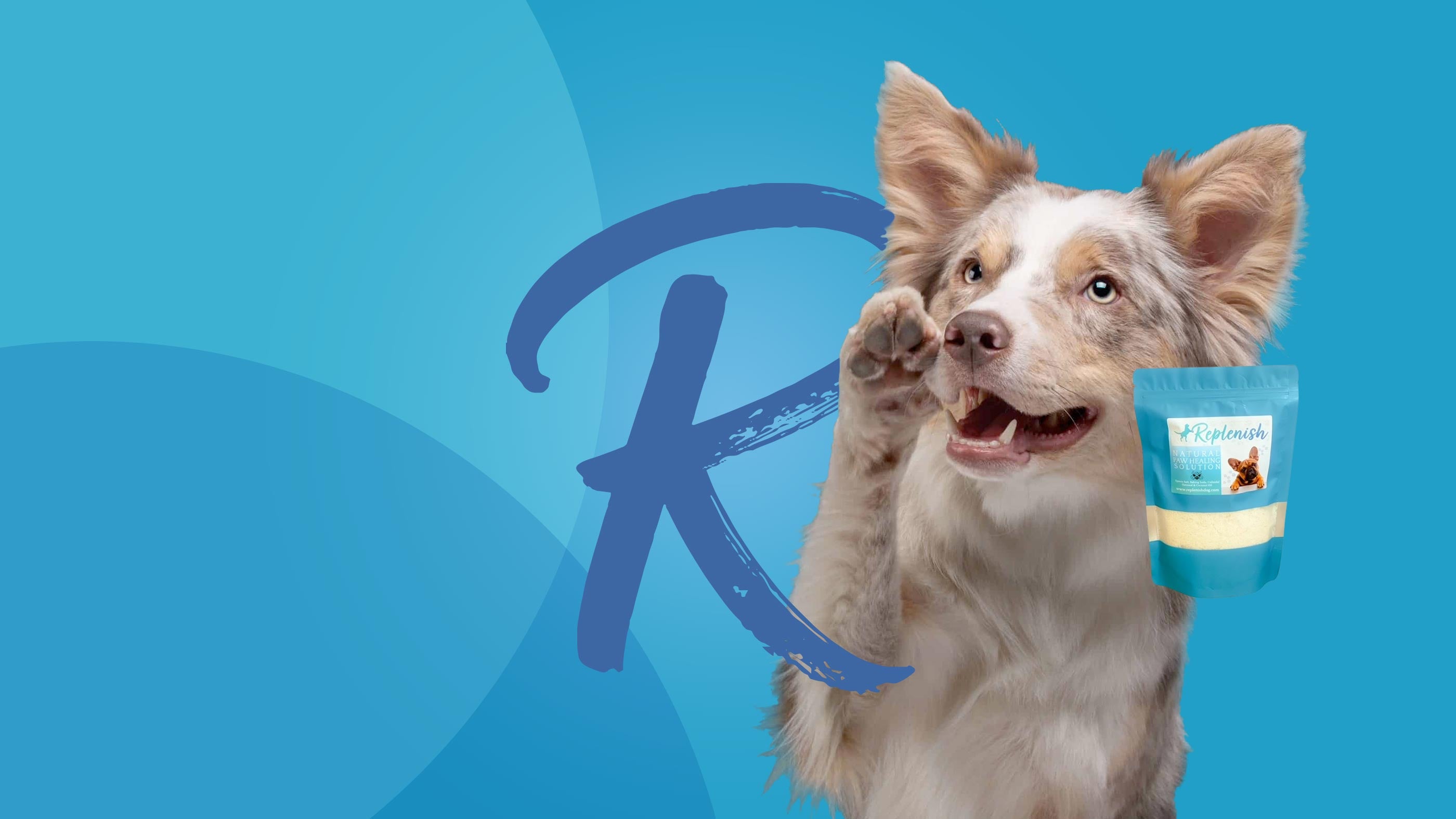 Replenish Dog | Canine Supplement, Active & Hunting Dog Recovery